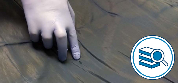 Brochures Archives - Agiliti